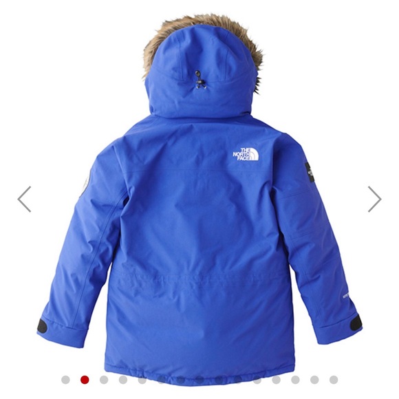 The North Face | Jackets & Coats | The North Face Antarctica Parka Down ...